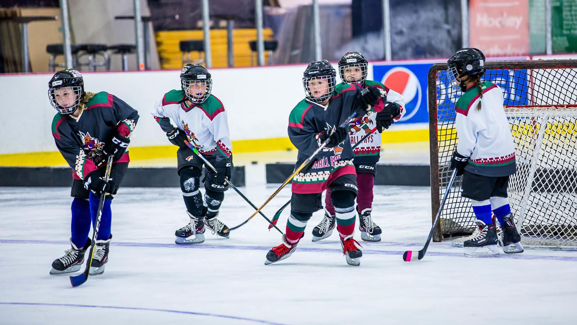 Tip of the ice: Arizona hockey on the rise through Arizona Coyotes ...