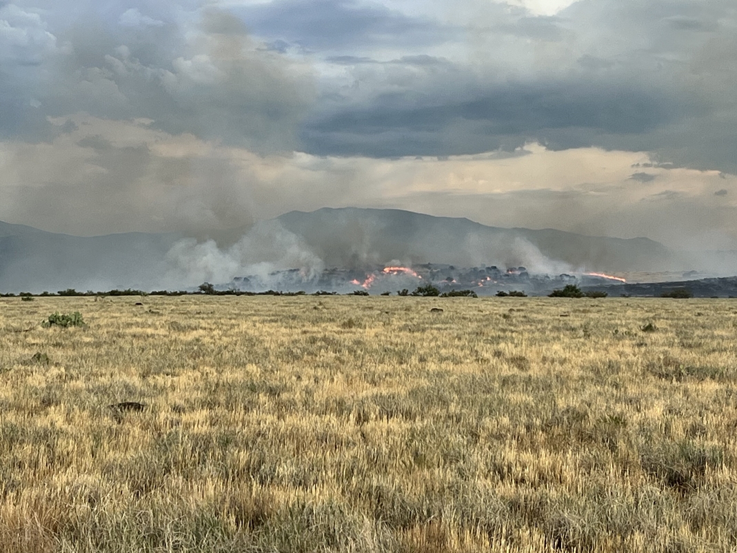 Skeleton Fire Update - Prescott eNews