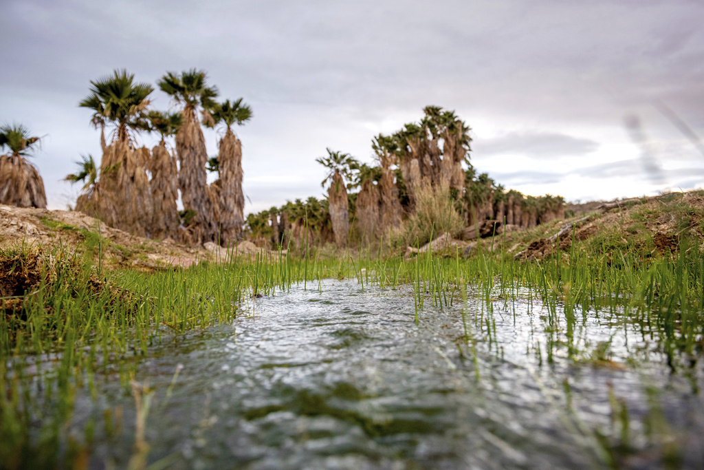 Judge blocks Arizona lithium drilling that tribe says is threat to ...