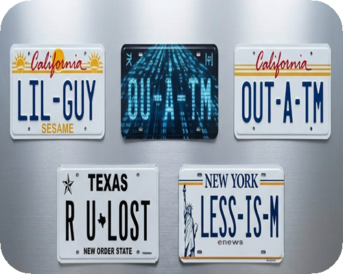 Creative Ideas for Personalized Novelty License Plates That Stand Out ...